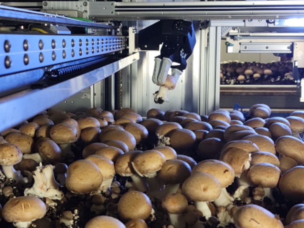 IoT System Service - Motion Control Products Ltd.